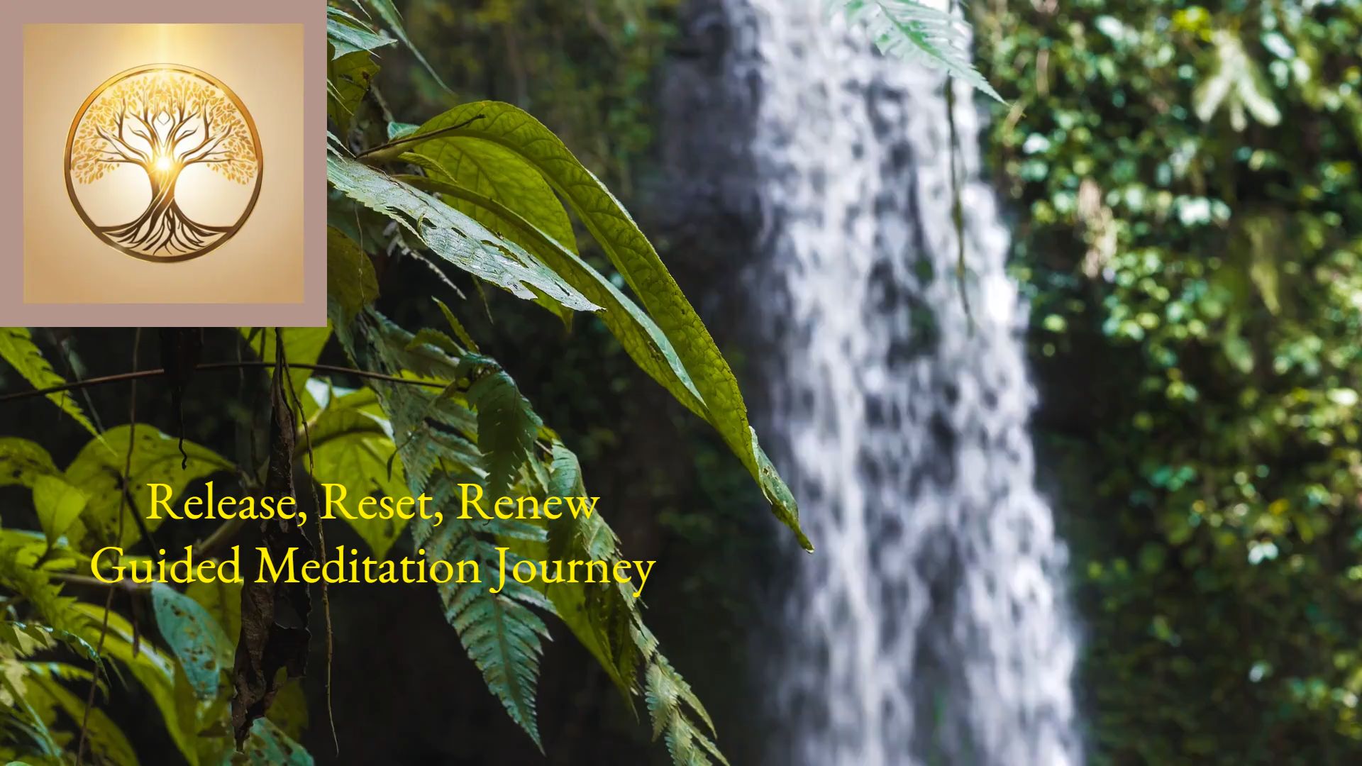 Release, Reset, Renew - Descript